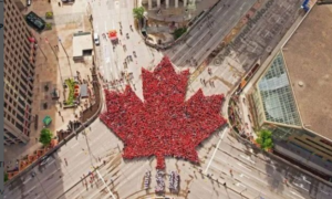 A Milestone for Inclusion: Canada's First-Ever National Disability ...